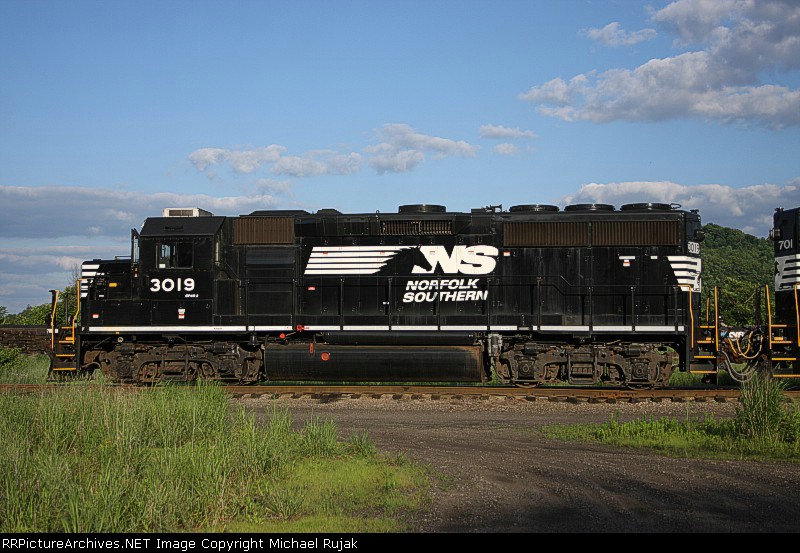 NS 3019